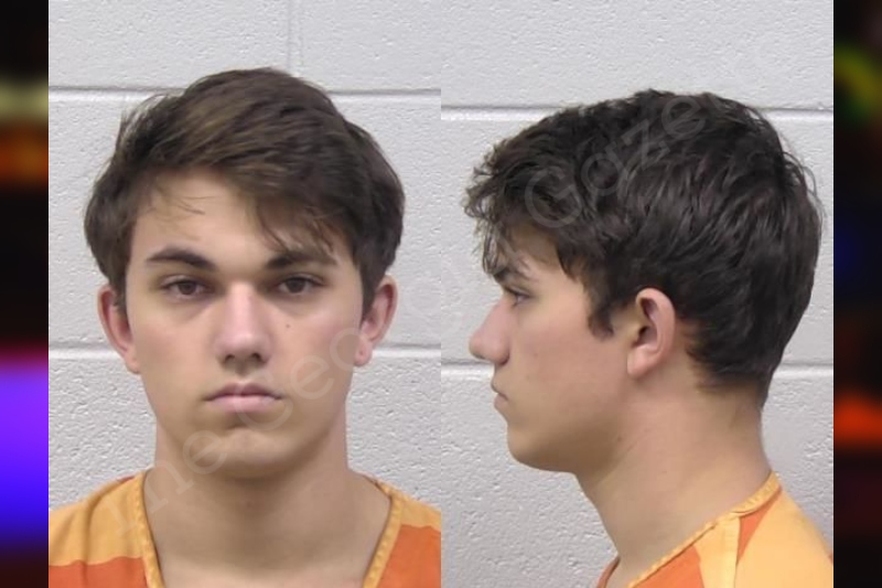 Daylon Richardson — Paulding County Jail Bookings