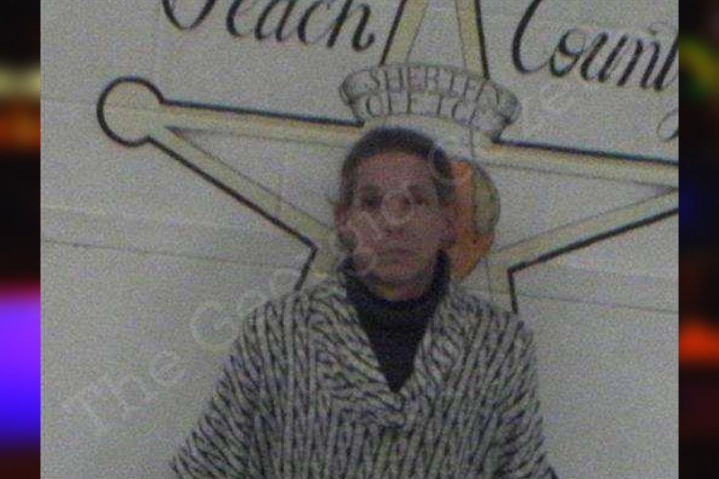 Andrew Samples — Peach County Jail Bookings