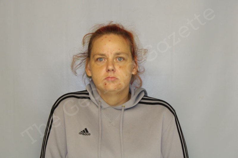 Kimberly Sheets — Hall County Jail Bookings