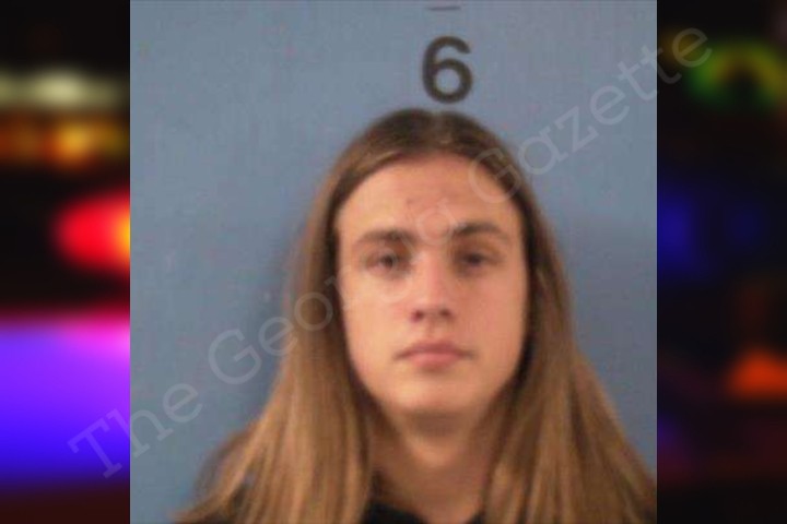 Shea Springer — Monroe County Jail Bookings