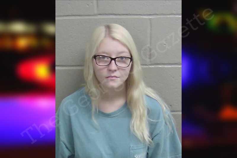 Brooke Sapp — Wayne County Jail Bookings