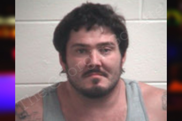 Gregory Smith — Henry County Jail Bookings