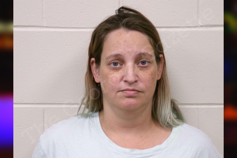 Patricia Smith — Bulloch County Jail Bookings