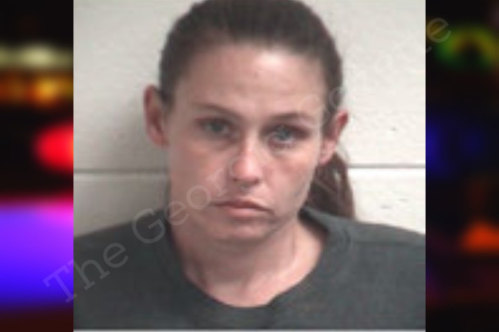 Amy Sollsberger — Henry County Jail Bookings