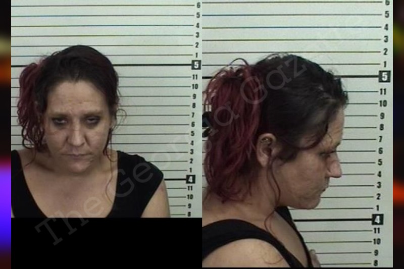 Shelly Sullivan — Camden County Jail Bookings