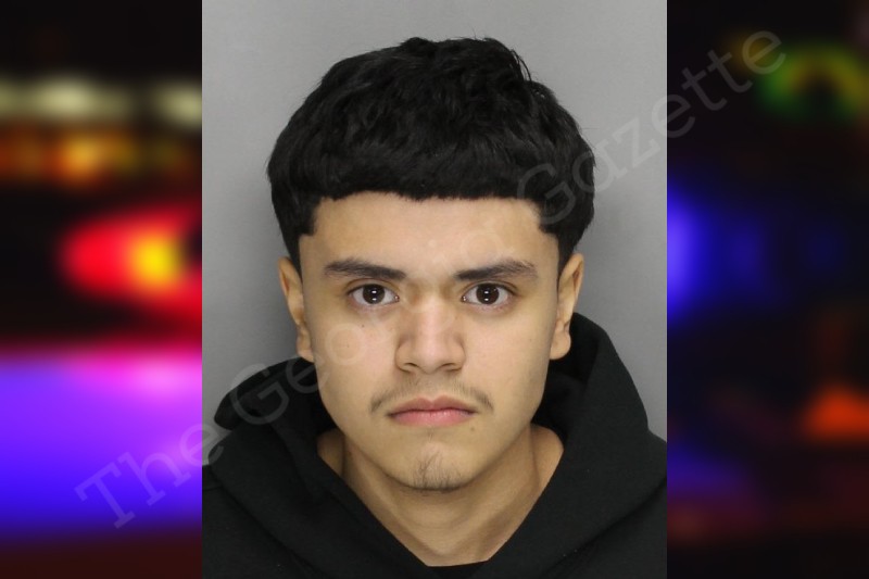 Alexis Tello — Cobb County Jail Bookings