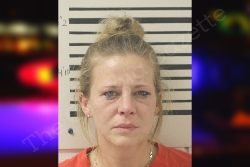 Amanda Thigpen — Toombs County Jail Bookings