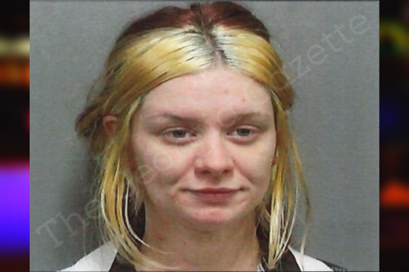 Hallie Thomason — White County Jail Bookings