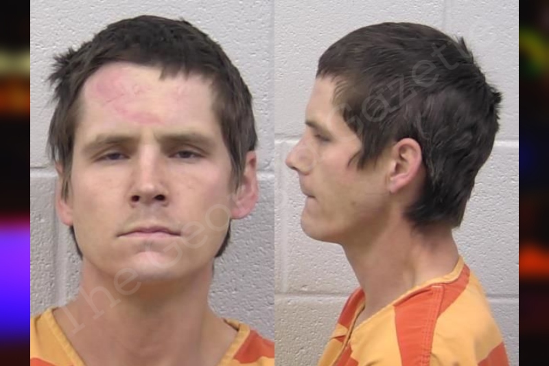 Brandon Taylor — Paulding County Jail Bookings