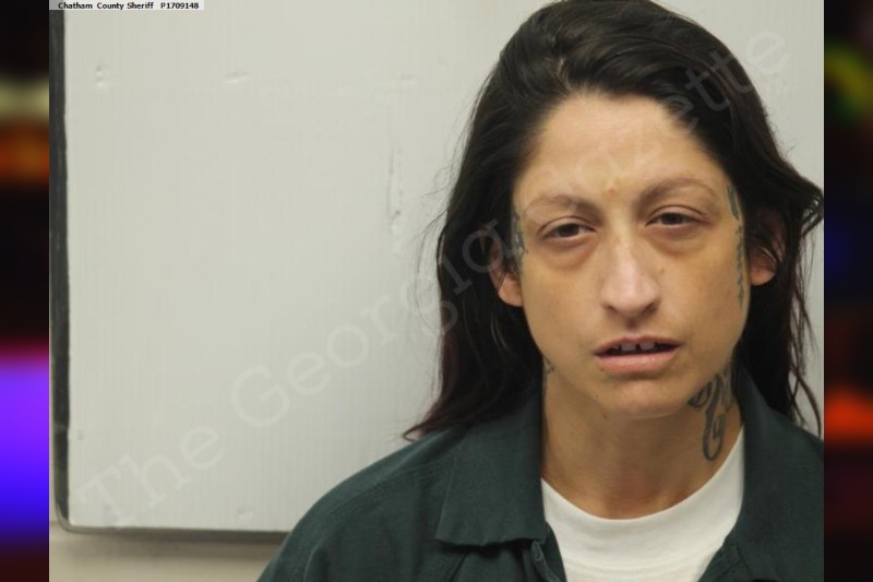 Rachel Teegarden — Chatham County Jail Bookings