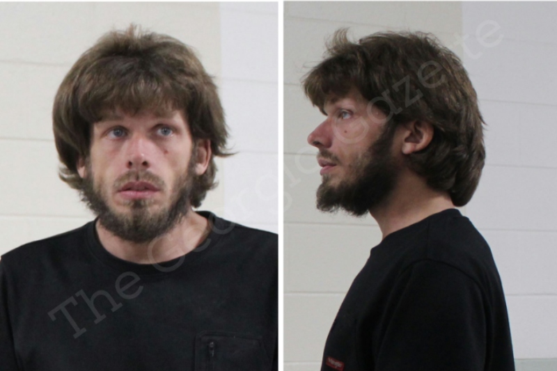 Shane Thomas — Houston County Jail Bookings