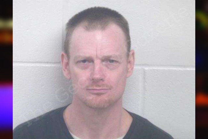 Trinity Williams — Washington County Jail Bookings