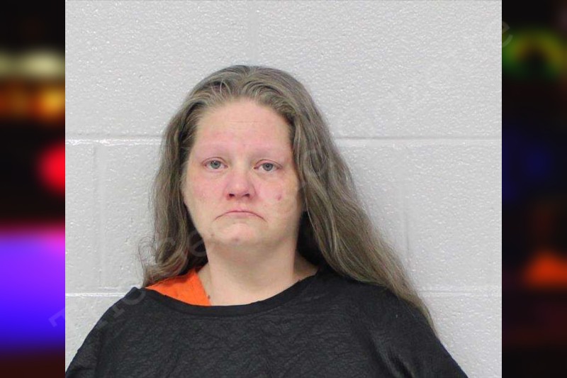 Angela Worley — Carroll County Jail Bookings