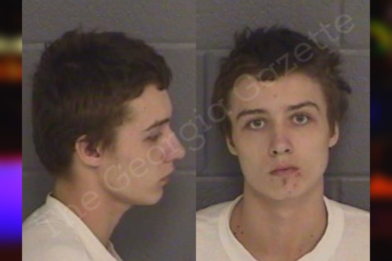 Charles Waddell — Barrow County Jail Bookings