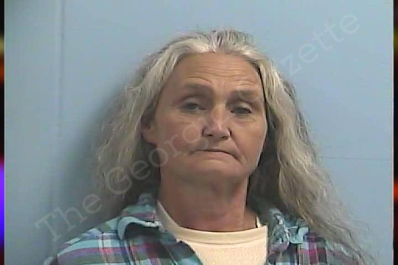 Patricia Wade — Dawson County Jail Bookings