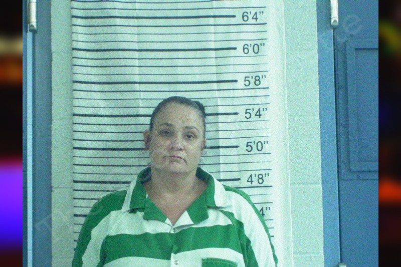 Susan Adair — Stephens County Jail Bookings