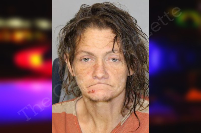 Cindy Alam — Hall County Jail Bookings
