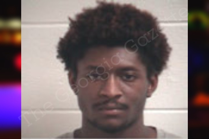 Khadar Ali — Henry County Jail Bookings