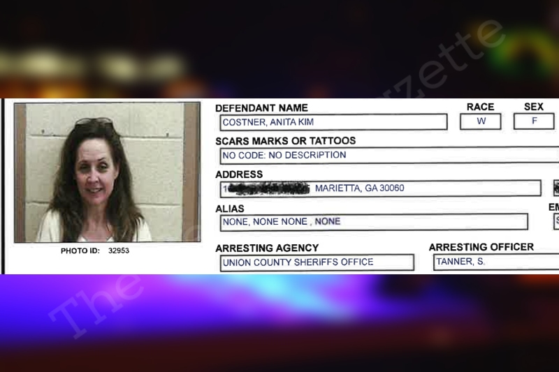 Anita Kim Costner (Kim Newborn) — Union County Jail Bookings