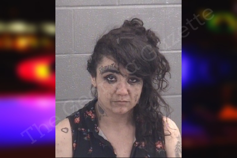 Angela Avila — Spalding County Jail Bookings