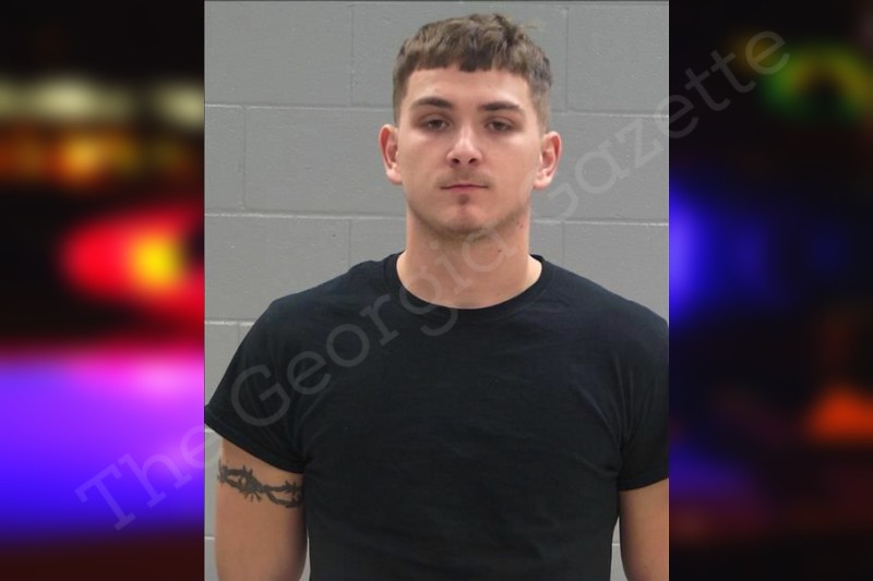 Noah Bentley — Baldwin County Jail Bookings