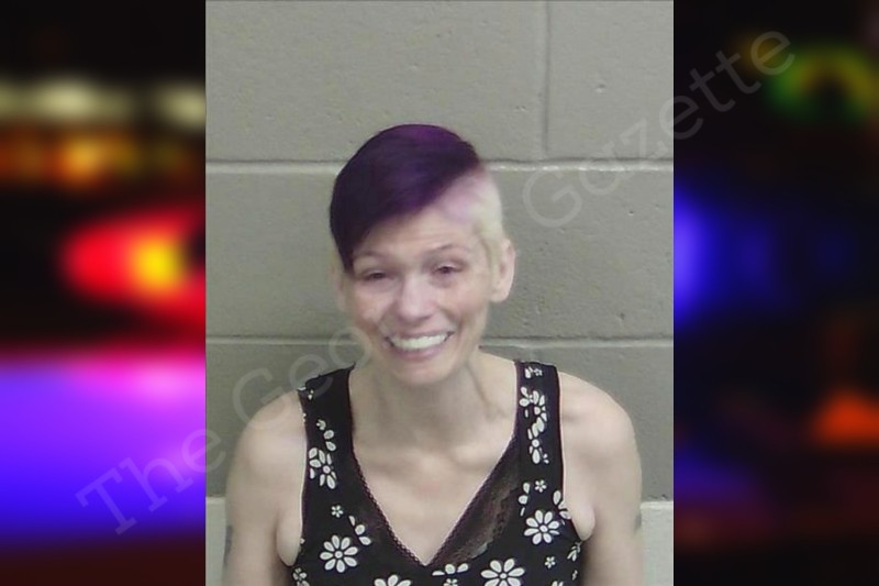 Amber Baker — Wayne County Jail Bookings