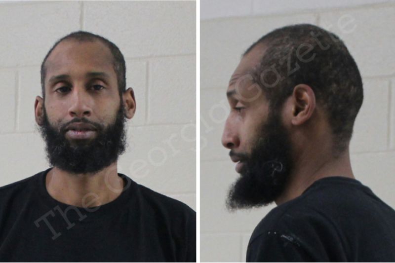 Michael Bess — Houston County Jail Bookings