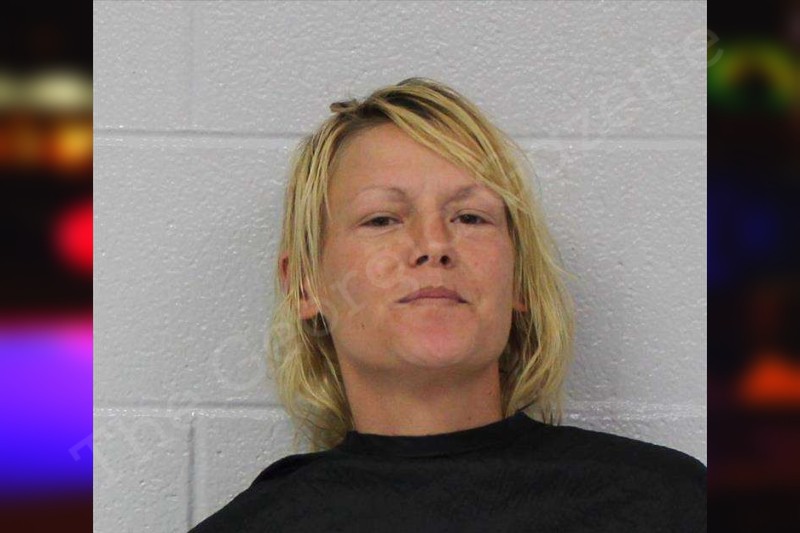 Chanda Cattadoris — Carroll County Jail Bookings