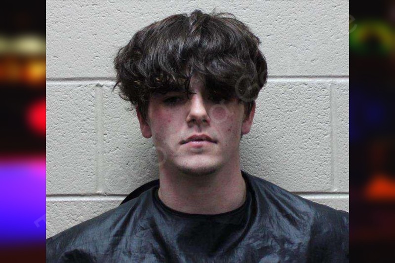 Nicholas Cothran — Haralson County Jail Bookings
