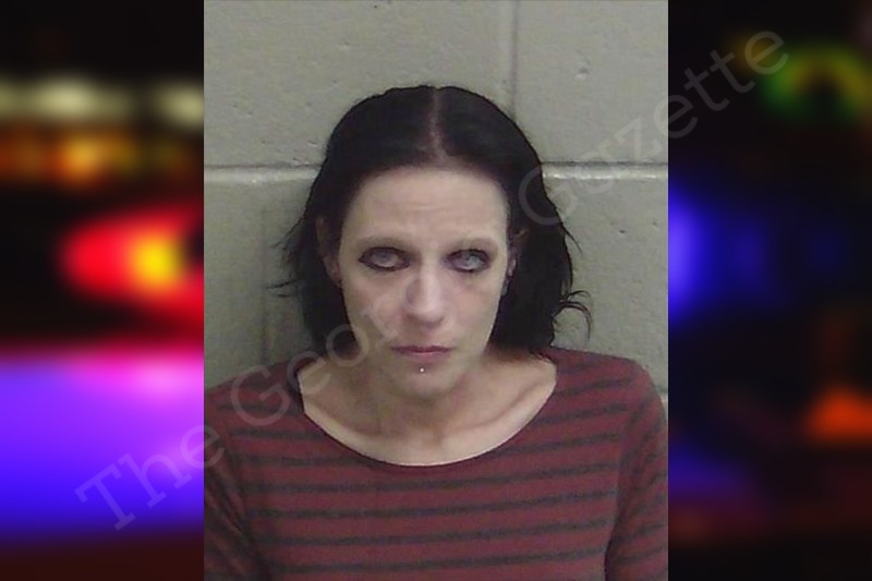Elizabeth Carter — Wayne County Jail Bookings