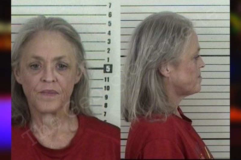 Alison Christopher — Camden County Jail Bookings