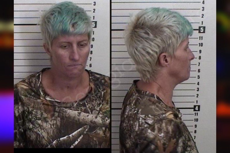 Heather Crews — Camden County Jail Bookings