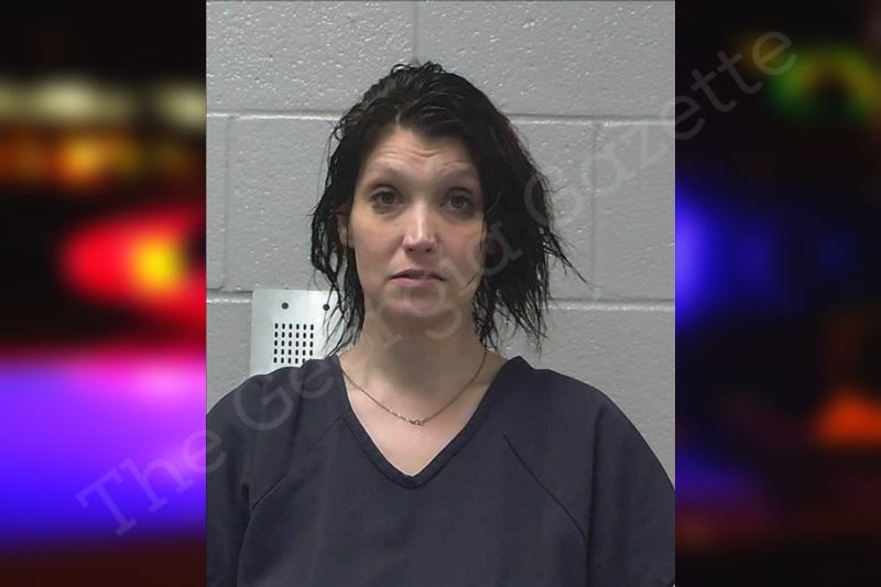 Sheila Davis — Gilmer County Jail Bookings