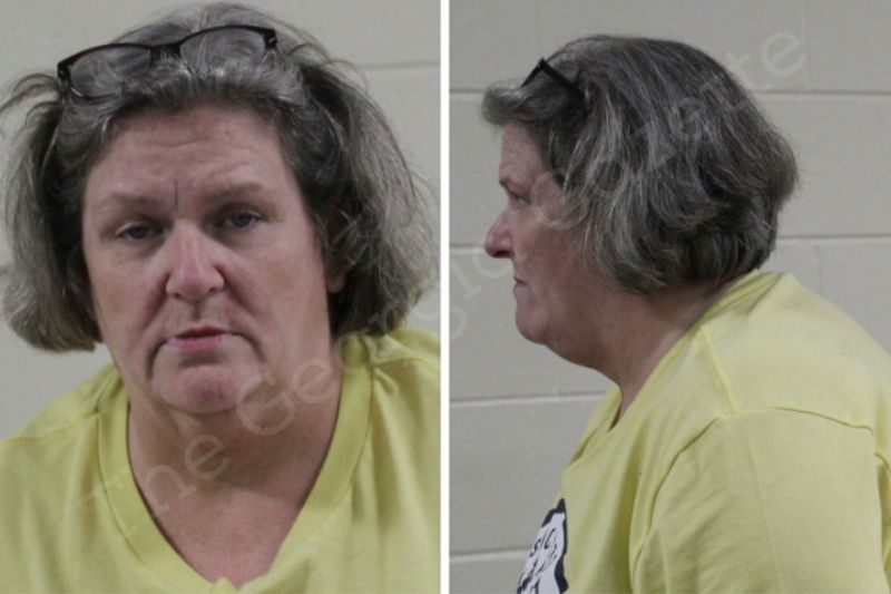 Deborah Delong — Houston County Jail Bookings