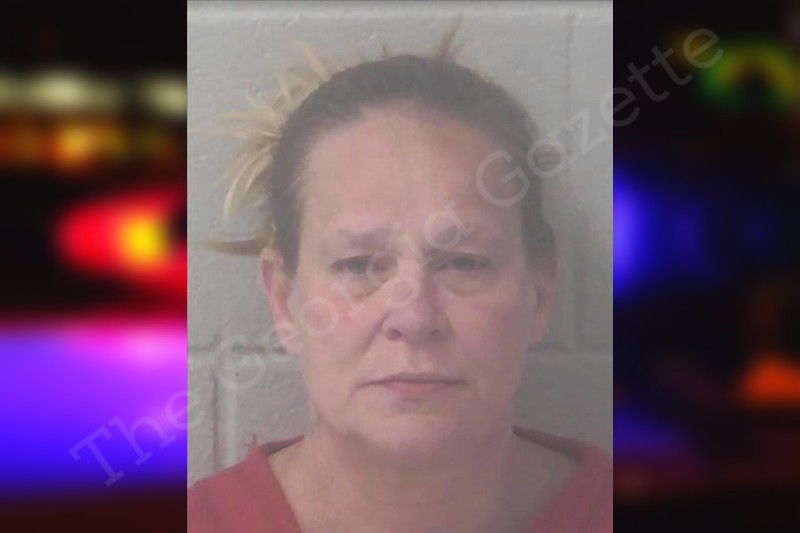 Rachel Finchum — Newton County Jail Bookings