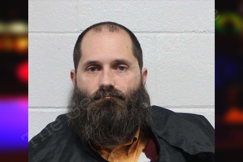 David Freeman — Habersham County Jail Bookings