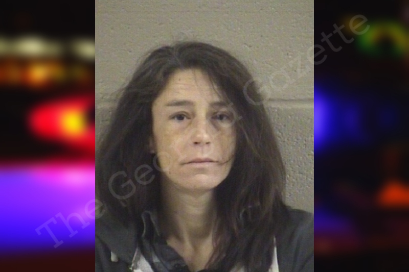 Amber Fulcher — Whitfield County Jail Bookings