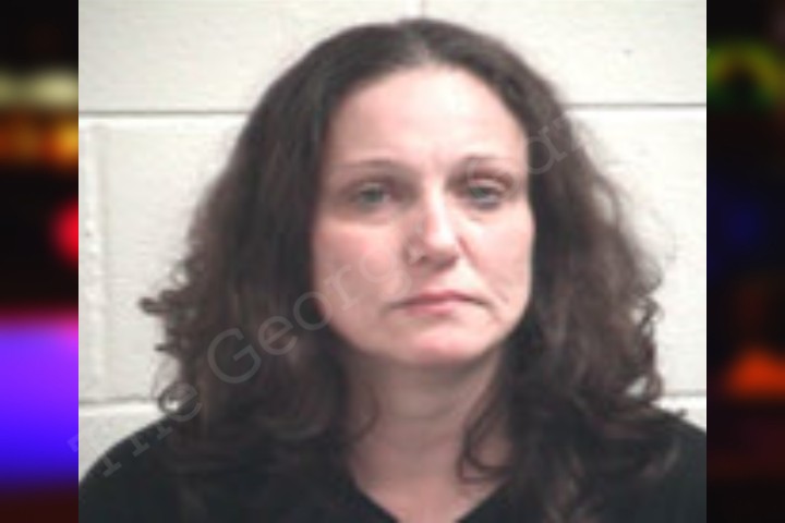 Alice Fielder — Henry County Jail Bookings