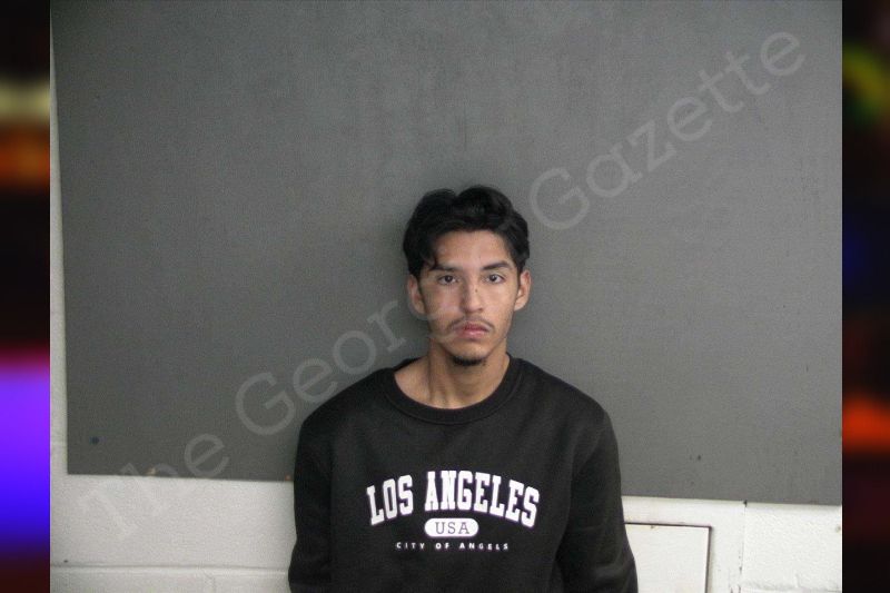 Michael Fuentes — Twiggs County Jail Bookings