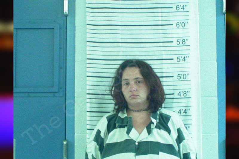Anna Garrison — Stephens County Jail Bookings