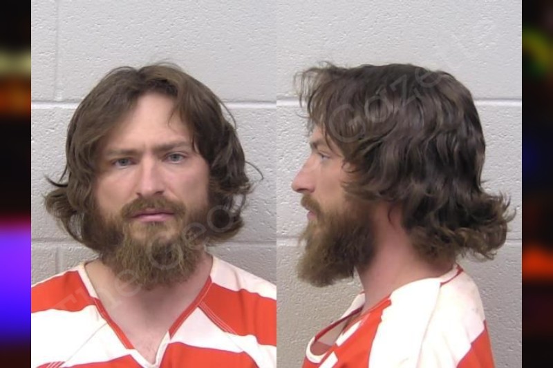 Donald Godwin — Paulding County Jail Bookings