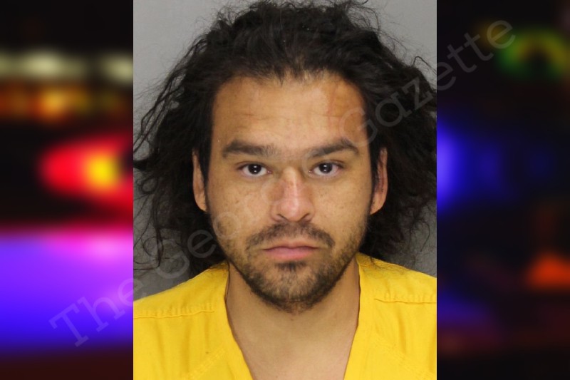 Alan Gonzalez — Cobb County Jail Bookings