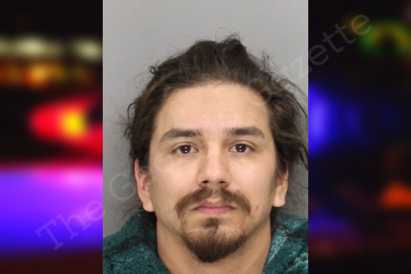 Brandon Gordon — Cobb County Jail Bookings