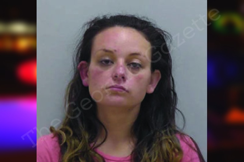 Brittany Garner Bartow County Jail Bookings