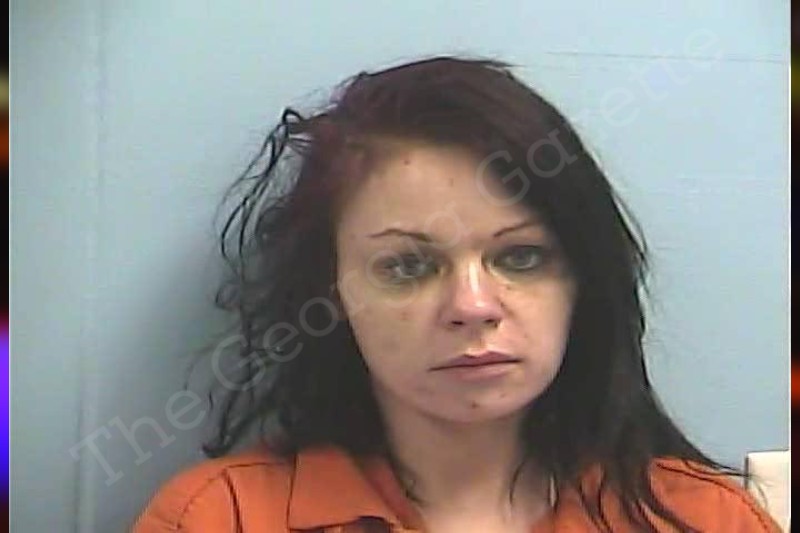 Courtney Goodwin — Dawson County Jail Bookings