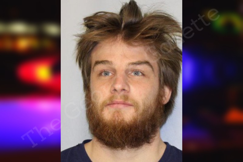 Brandon Heflin — Hall County Jail Bookings