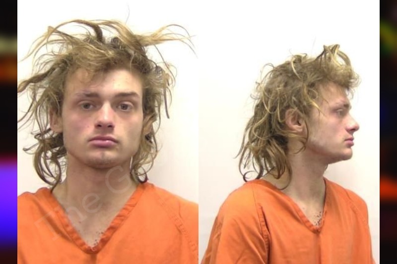 Carl Hicks — Clarke County Jail Bookings