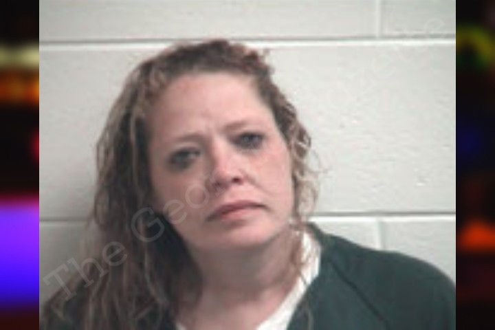 Wendy Holcomb — Henry County Jail Bookings