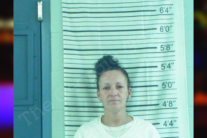 Christy Horne — Stephens County Jail Bookings