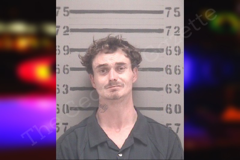 Dylan Hall — Dougherty County Jail Bookings